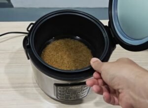Aroma Rice Cooker Brown Rice Recipe